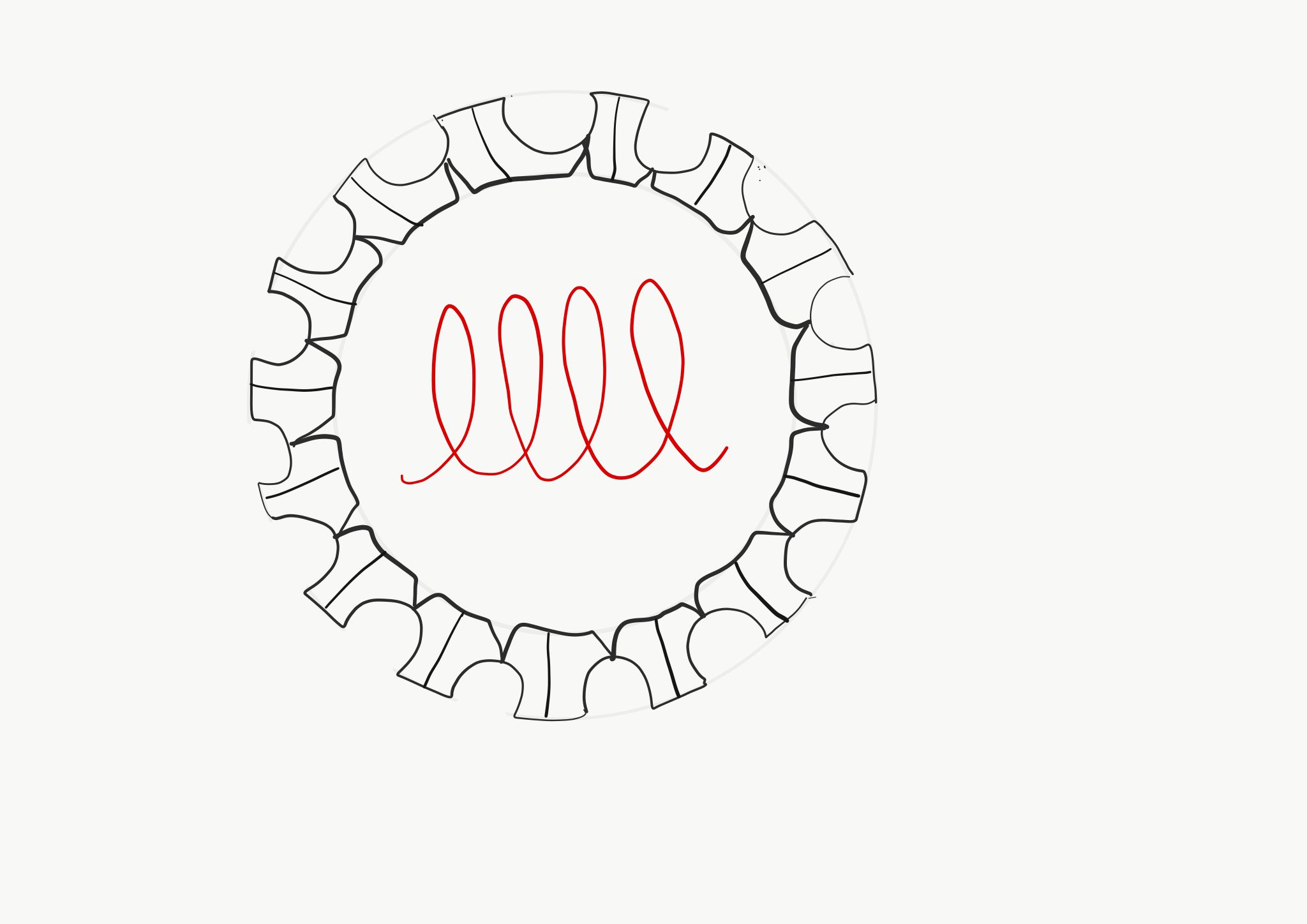 Types of viruses: structure, classification and reproduction - ScienceQuery