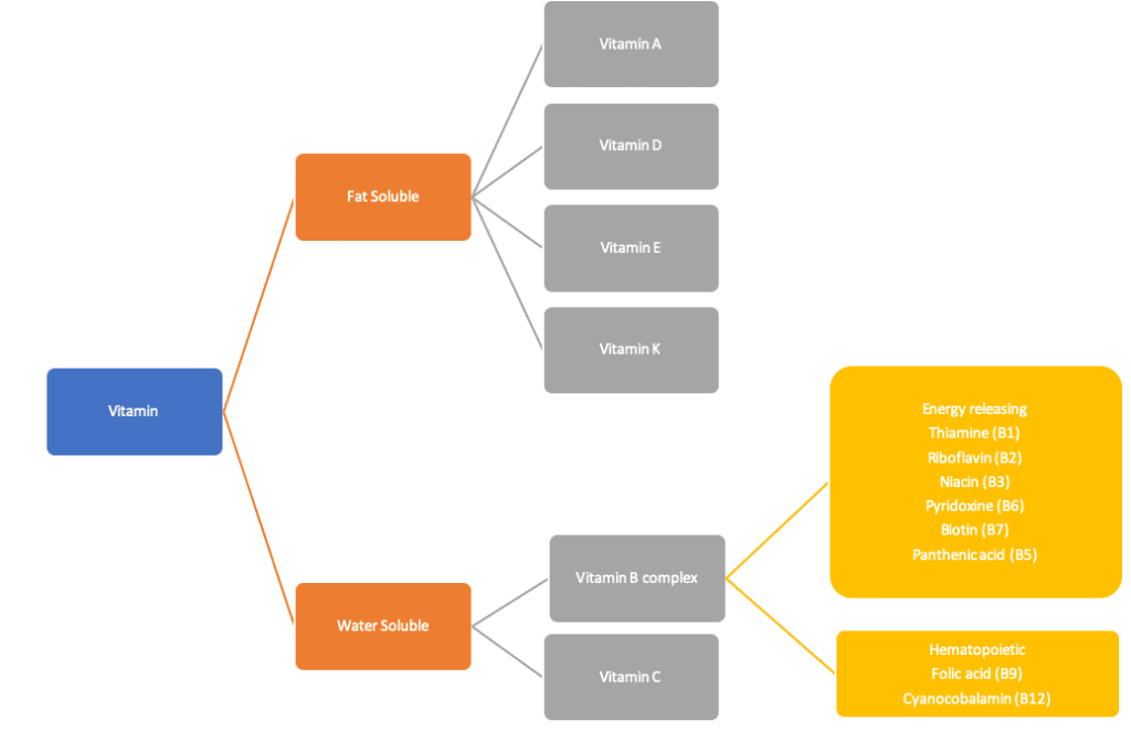 What are vitamins? Classification of vitamins & vitamin sources ...
