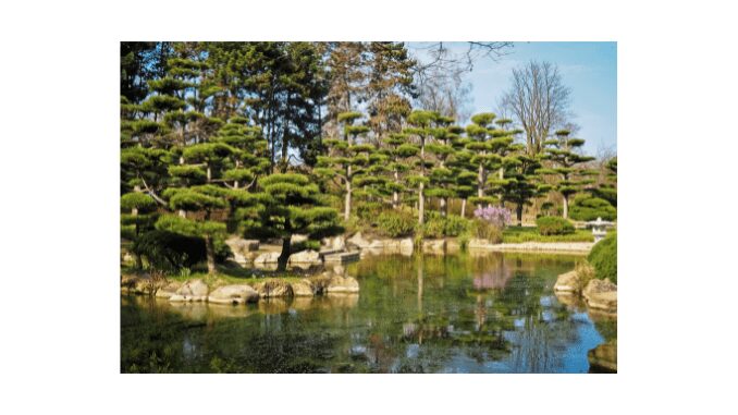 Difference between pond and a lake and river - sciencequery