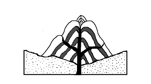 Different types of Volcano - ScienceQuery