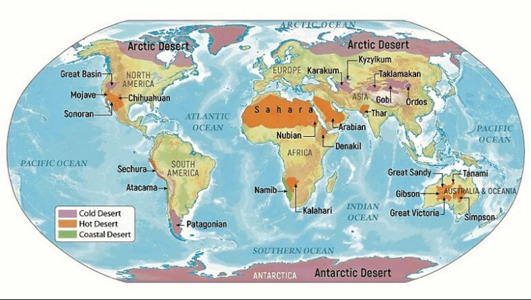 Desert ecosystem: Types and components - sciencequery.com