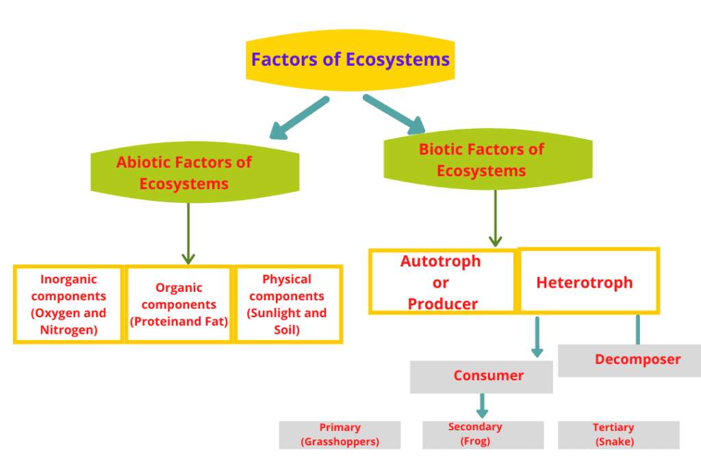 Biotic factors and abiotic factors in the ecosystem - Science Query