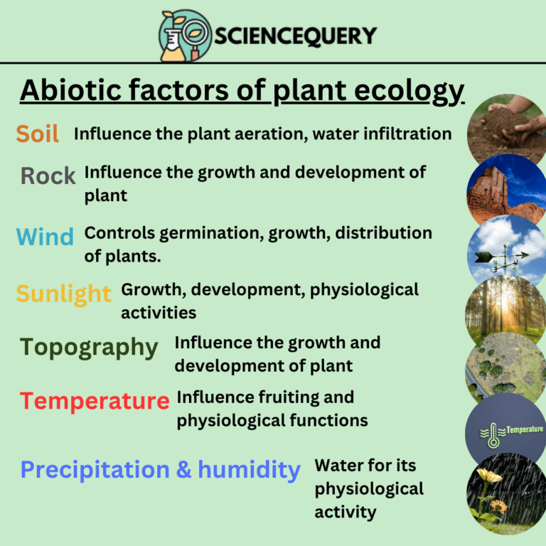 Abiotic factors of plant ecology: Definition and types - sciencequery.com