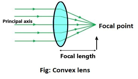 Concave vs convex lens: Definition, Types & differences - sciencequery.com