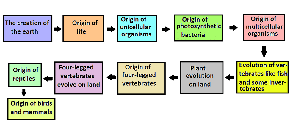Heredity and evolution: definitions and differences - sciencequery.com