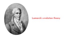 Lamarck’s evolution theory or Lamarckism - sciencequery.com