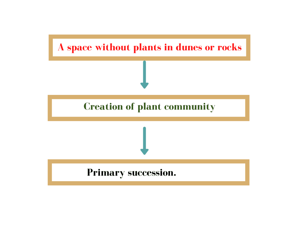 Plant succession - Science Query