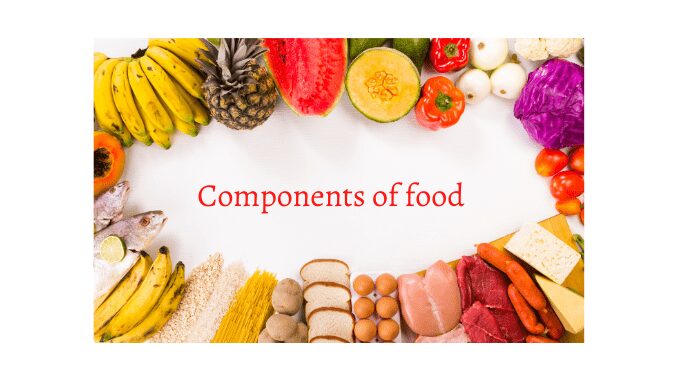 What are the main components of food? - ScienceQuery