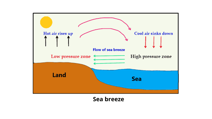 The Difference between Land and sea breezes - sciencequery.com