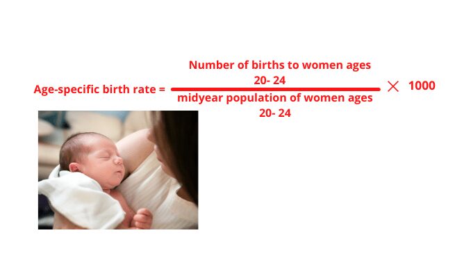 What are the components of population change? | Science Query