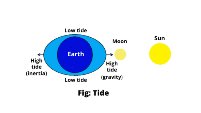 Importance of tides - ScienceQuery
