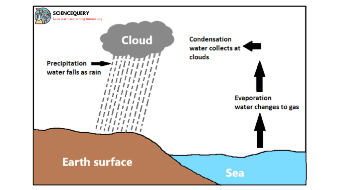 What are the different types of rainfall? - ScienceQuery