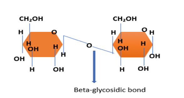 Glycosidic bond definition and structure - Science Query