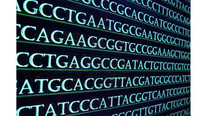 C value paradox - ScienceQuery