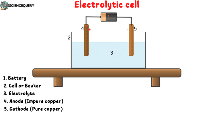 Difference between electrolytic and galvanic cell - Science Query