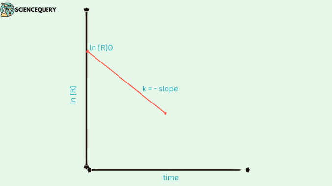 First Order Reactions - ScienceQuery