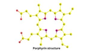 Porphyrins - ScienceQuery