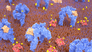 Enzyme activity: Definition, types and factors - ScienceQuery