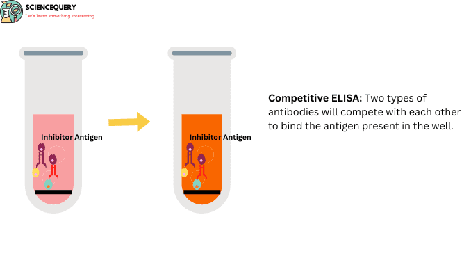 Enzyme immunoassays - ScienceQuery