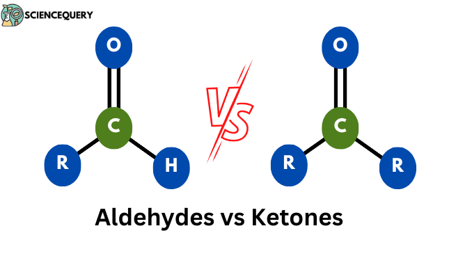 Aldehydes vs Ketones: Differences and description - Science Query
