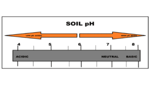 Acid soil: Causes, impact, and remediation - ScienceQuery