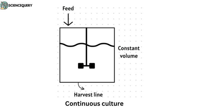 What is fermenter? - Science Query