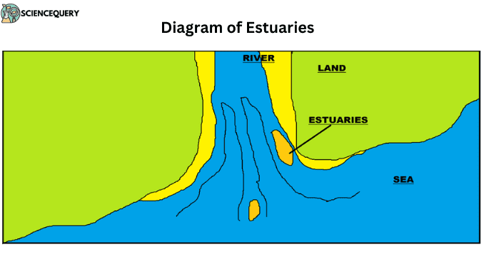 Costal features: Types and formation - Science Query