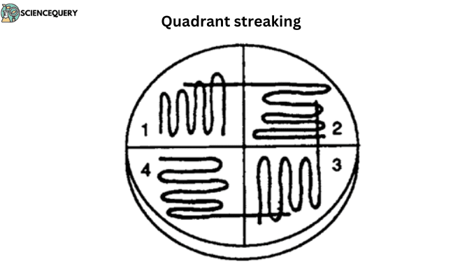 Quadrant streaking - Science Query