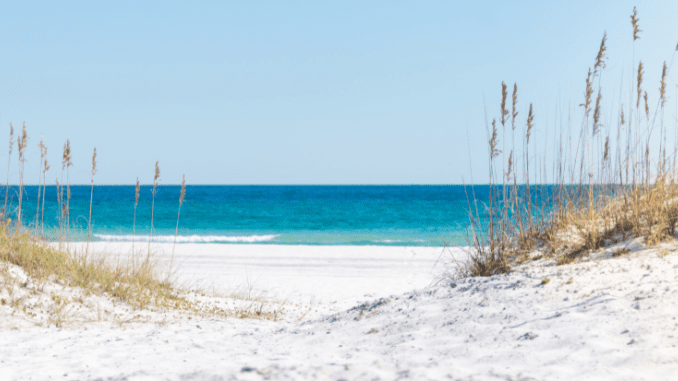 Costal features: Types and formation - ScienceQuery