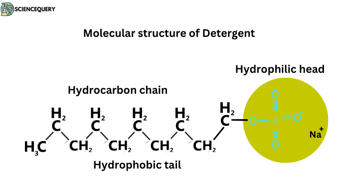 Difference between soap and detergent as cleaning agents - Science Query