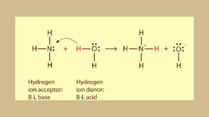 What is bronsted lowry acid and base theory? - Science Query