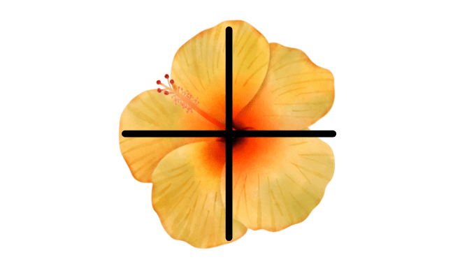 Radial Symmetry - ScienceQuery