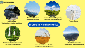 Biome in North America - ScienceQuery
