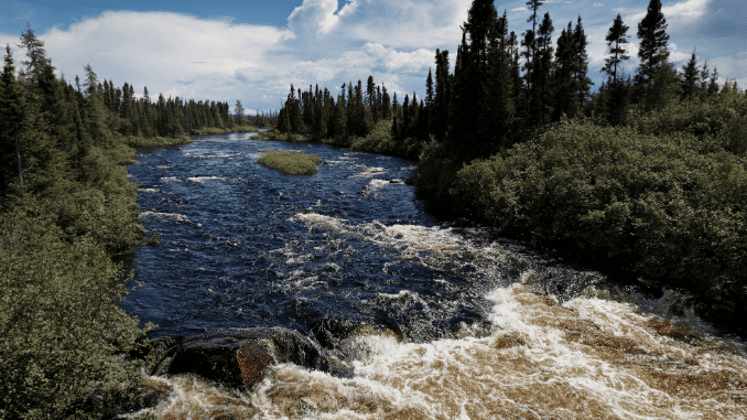 Biome in North America - ScienceQuery