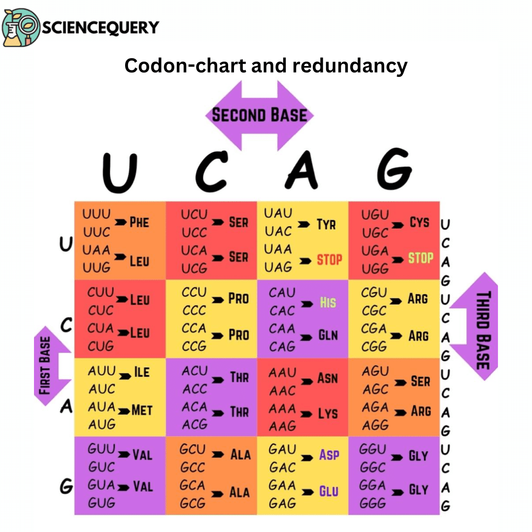 Genetic Codons Science Query