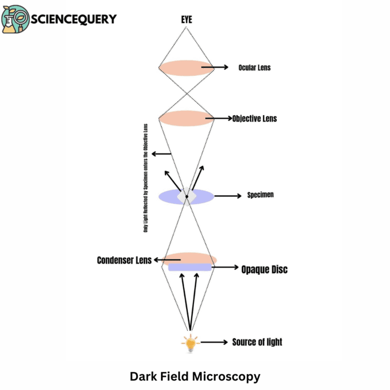 Dark Field Microscope - ScienceQuery