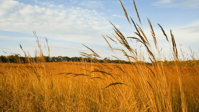 Biome in North America - ScienceQuery