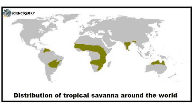 What is Biome? - ScienceQuery