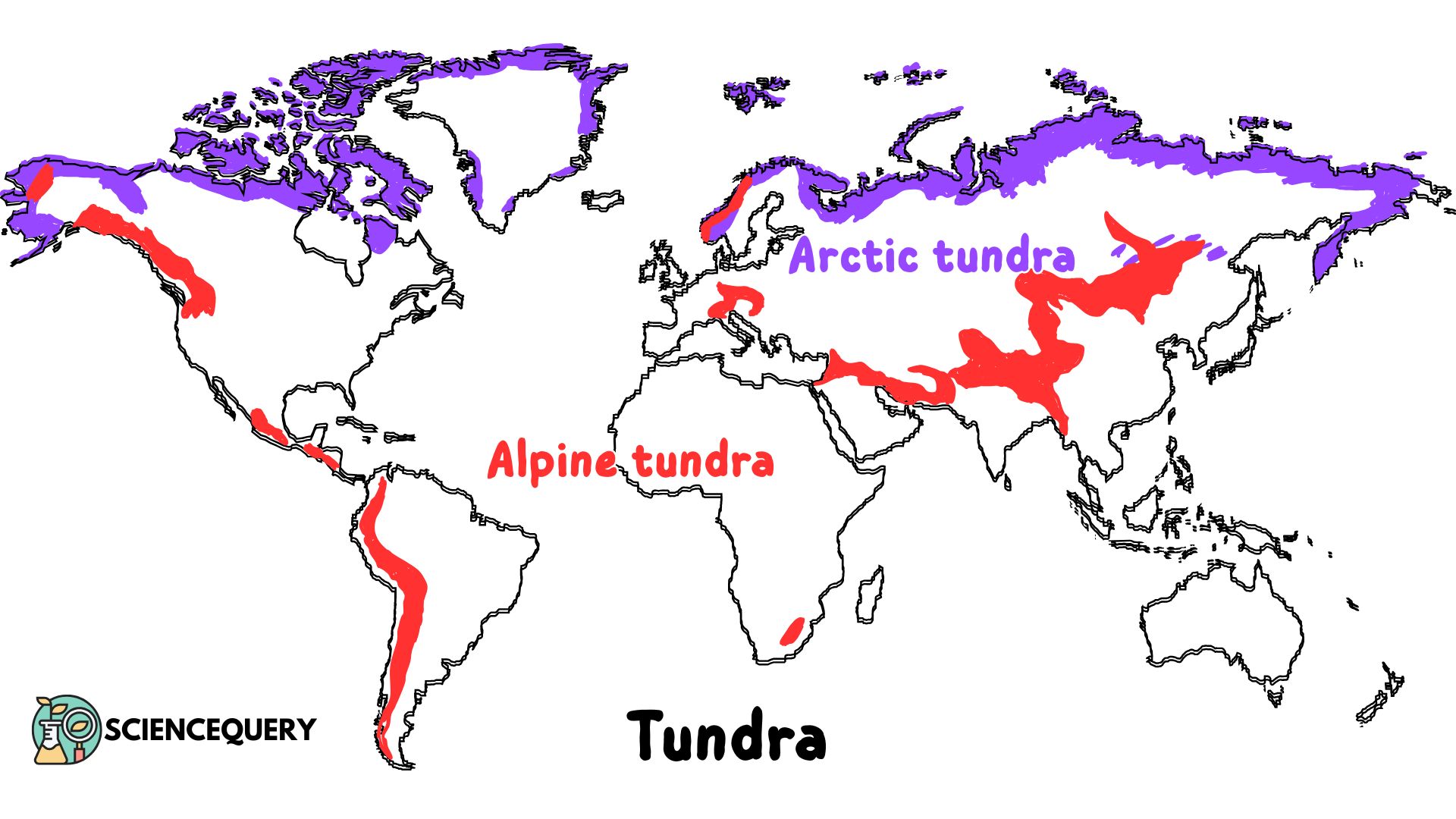 Tundra Biome Food Chain - ScienceQuery