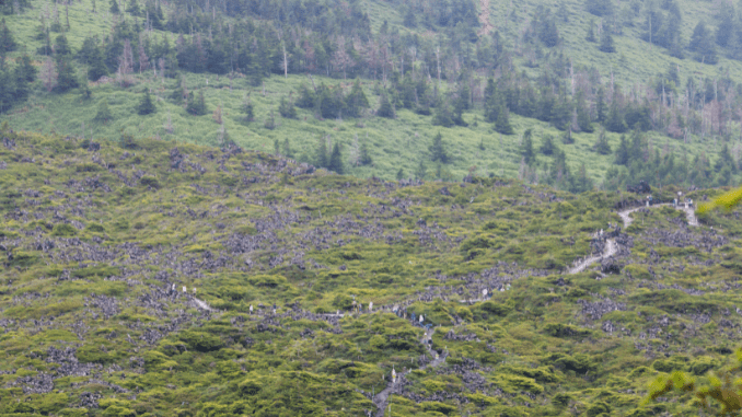 What are volcanic landforms - ScienceQuery