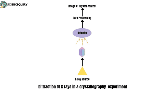 x ray crystallography - ScienceQuery